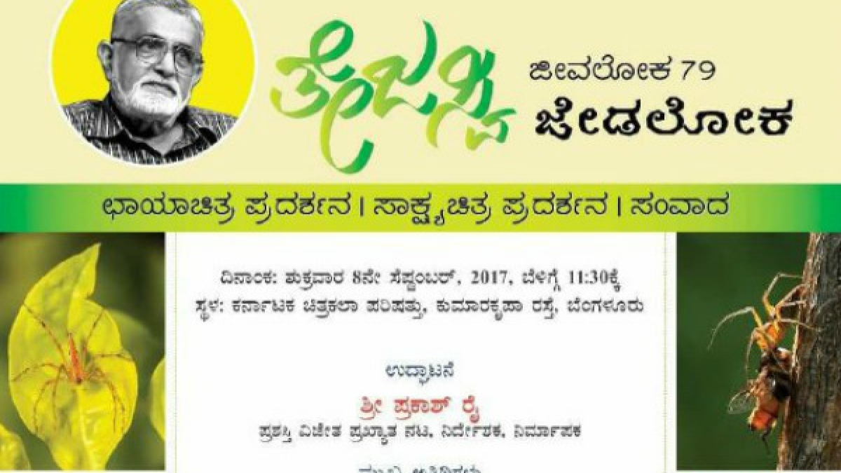 ತೇಜಸ್ವಿ 79: ಚಿತ್ರಕಲಾ ಪರಿಷತ್ತಿನಲ್ಲಿ ವಿಶಿಷ್ಟ ಜೇಡಲೋಕ | Spider world ...