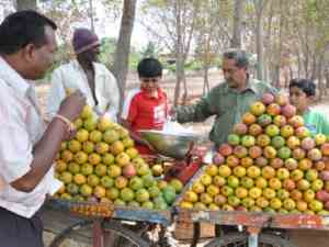 ಮೈಸೂರಿನ ರಾಜ್ಯ ಹೆದ್ದಾರಿಯಲ್ಲಿ ಮಾವಿನಸಂತೆ... | Mango mela on highway in ...