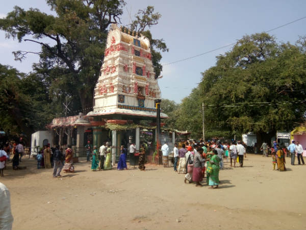 ಐದು ದಿನಗಳ ಐತಿಹಾಸಿಕ ಚಿಕ್ಕಲೂರು ಜಾತ್ರೆ ಆರಂಭ | Historical Chikkalur Jatre ...