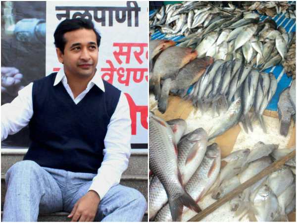 ಅಧಿಕಾರಿ ಮೇಲೆ ಮೀನು ಎಸೆದಿದ್ದ ಕಾಂಗ್ರೆಸ್ ಶಾಸಕನ ಬಂಧನ | MLA Nitesh Rane held ...