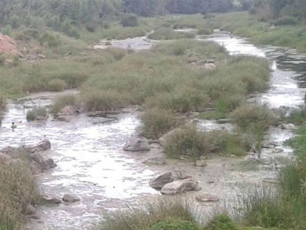 ಎಷ್ಟೇ ಮಳೆಯಾದರೂ ಮಂಡ್ಯದ ಶಿಂಷಾನದಿ ತುಂಬಿ ಹರಿಯಲೇ ಇಲ್ಲ! | Shimsha river in ...