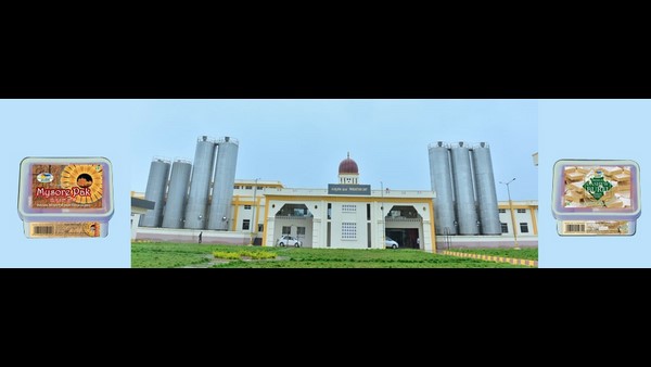 MYMUL Milk Price : ಸಂಕಷ್ಟದಲ್ಲಿರುವ ರೈತರಿಗೆ ಬರೆ?; ಹಾಲು ಖರೀದಿ ದರ ಒಂದು ರೂ ...