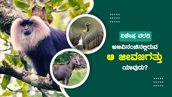 ವಿಶೇಷ ವರದಿ: ಅಳಿವಿನಂಚಿನಲ್ಲಿರುವ ಆ ಜೀವಜಗತ್ತು ಯಾವುದು? | Karnataka ...
