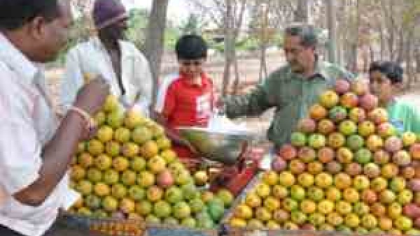 ಮೈಸೂರಿನಲ್ಲಿ ಮಾವಿನ ಹಣ್ಣಿನ ಮೇಳ; ಯಾವ ಮಾವು ಸಿಗಲಿವೆ? | Mango Mela 2022 in ...