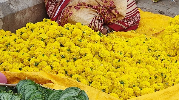 ದಾವಣಗೆರೆಯಲ್ಲಿ ದುಪ್ಪಟ್ಟಾಯ್ತು ಹೂ ದರ: ದಸರಾಕ್ಕಿಂತ ದೀಪಾವಳಿಗೆ ಹಣ್ಣು ಅಗ್ಗ ...