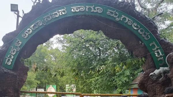 ಗದಗ ಮೃಗಾಲಯದಲ್ಲಿ ಕೆಲಸ ಖಾಲಿ ಇದೆ, ನ.29ಕ್ಕೆ ನೇರ ಸಂದರ್ಶನ | Walk In Interview ...