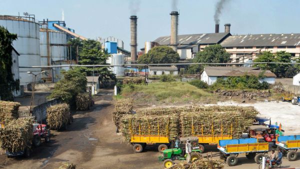 ಸಕ್ಕರೆ ಕಾರ್ಖಾನೆ 15 ಕಿಮೀ ವ್ಯಾಪ್ತಿಯಲ್ಲಿ ಎಥೆನಾಲ್ ಘಟಕ ಸ್ಥಾಪಿಸುವಂತಿಲ್ಲ | No ...