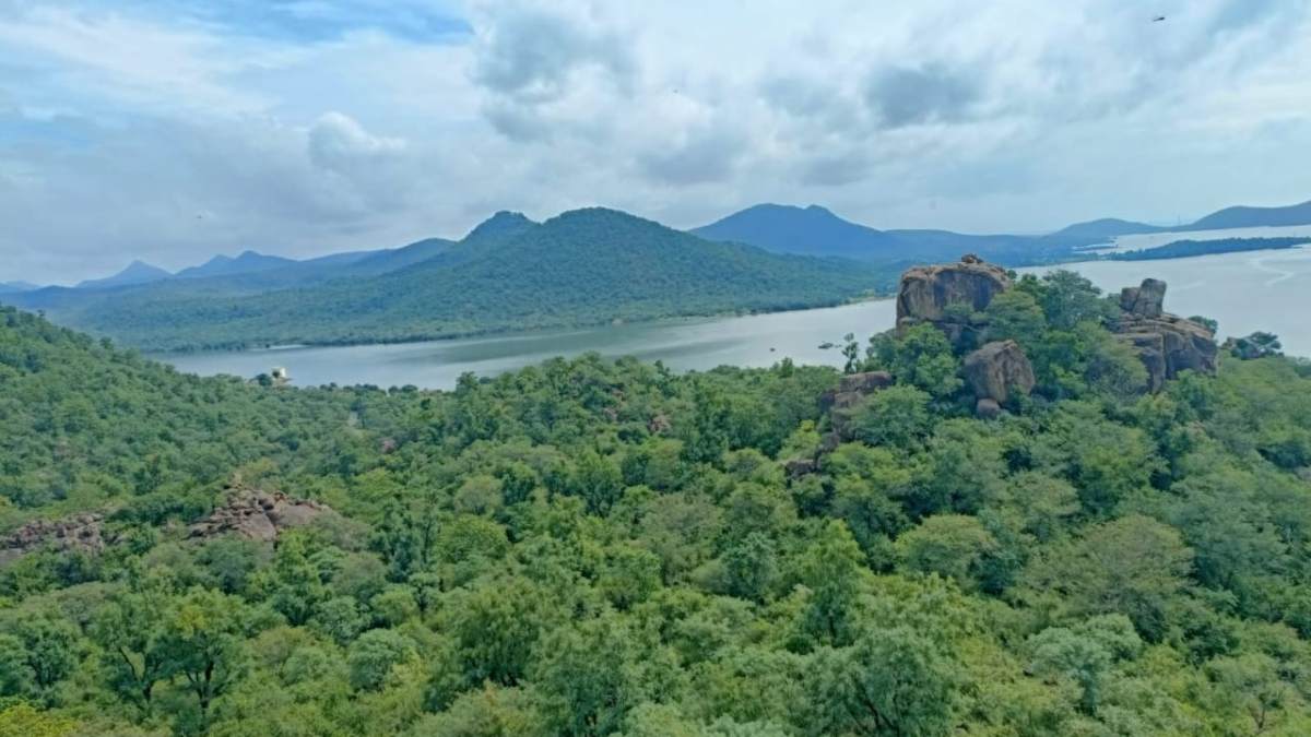 ಚಾಮರಾಜನಗರ: ಪಾಲಾರ್ ನದಿ ದಡದಲ್ಲಿ ಅರಣ್ಯ ಇಲಾಖೆ-ಬೇಟೆಗಾರರ ನಡುವೆ ಗುಂಡಿನ ಚಕಮಕಿ ...