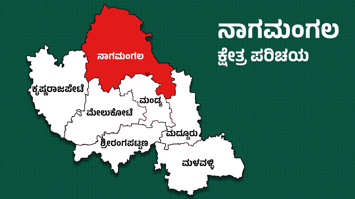 Nagamangala Elections: ಕಾಂಗ್ರೆಸ್‌-ಜೆಡಿಎಸ್‌ ಜಿದ್ದಾಜಿದ್ದಿ, ನಾಗಮಂಗಲದ ನಾಯಕ ...