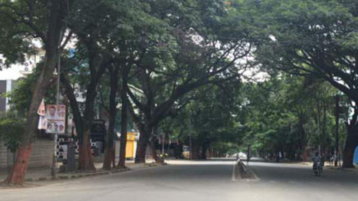 Sankey flyover: ಮರ ಕಡಿಯುವ ಕಡತಕ್ಕೆ ಬಿಬಿಎಂಪಿ ಮುಖ್ಯ ಆಯುಕ್ತರಿಂದ ತಡೆ ...