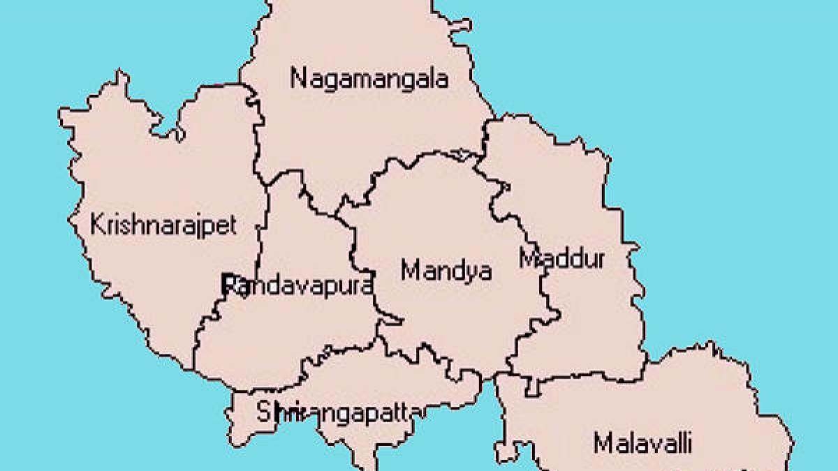 ಸಕ್ಕರೆ ನಾಡು ಮಂಡ್ಯ ಜಿಲ್ಲೆಯ 7 ವಿಧಾನಸಭಾ ಕ್ಷೇತ್ರಗಳ ಫಲಿತಾಂಶ ಹೀಗಿದೆ, ಜೆಡಿಎಸ್ ...