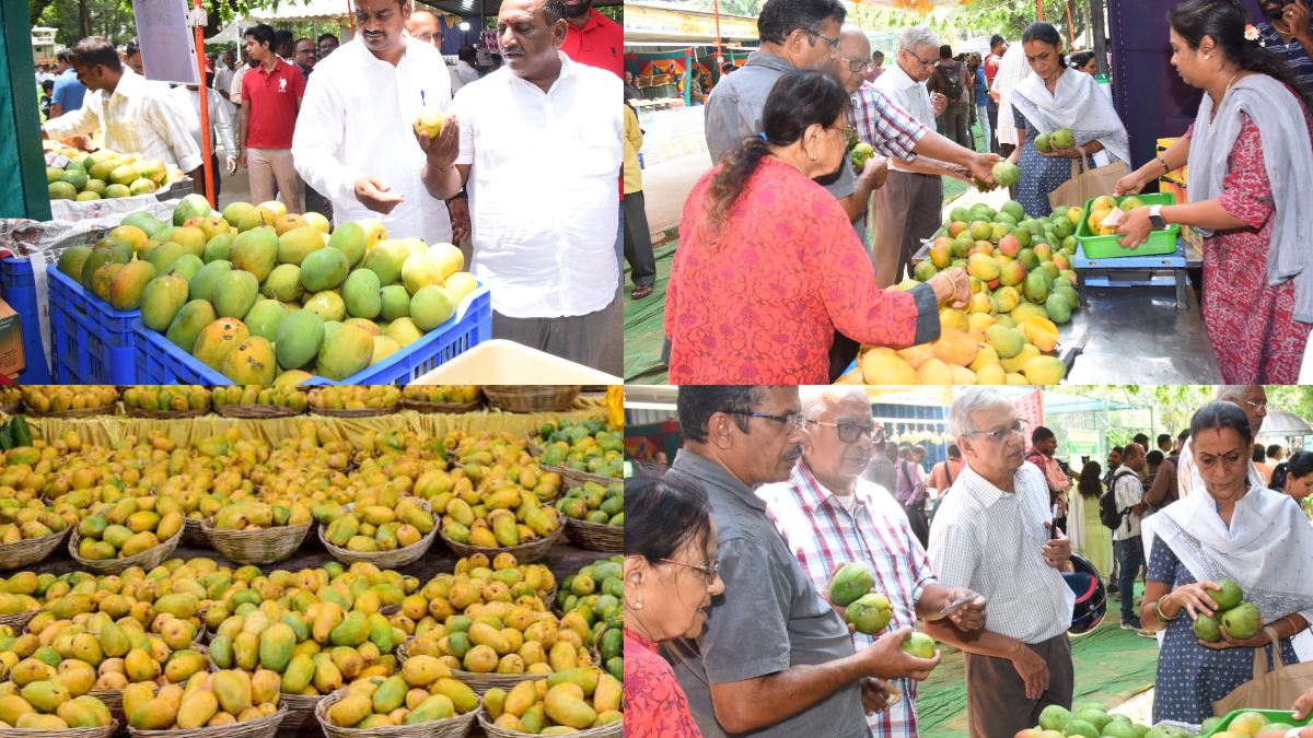 Mango Mela: ಮೈಸೂರಿನಲ್ಲಿ 3 ದಿನಗಳ ಕಾಲ ಅದ್ಧೂರಿಯಾಗಿ ನಡೆಯಿತು ಮಾವು ಮೇಳ ...