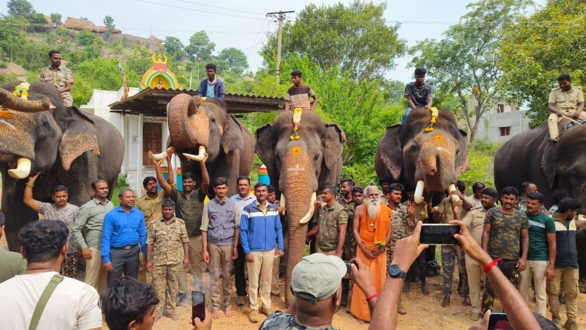 ಚನ್ನಪಟ್ಟಣ: ಪುಂಡಾನೆ ಸೆರೆ ಕಾರ್ಯಾಚರಣೆಗೆ ಬಂದ್ವು 5 ಸಾಕಾನೆಗಳು | Elephant ...