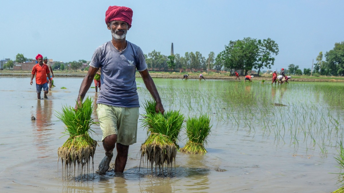 ರೈತರಿಂದಲೇ ಮೊಬೈಲ್ ಅಪ್ಲಿಕೇಶನ್ ಮೂಲಕ ಬೆಳೆ ಸಮೀಕ್ಷೆ | 2023 Monsoon Season ...