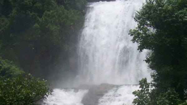 ನೋಡಿ ಬನ್ನಿ ಕೊಡಗಿನ ಚೇಲಾವರ ಜಲಪಾತ: ಹುಚ್ಚಾಟವಾಡಿದರೆ ಅಪಾಯ ಕಟ್ಟಿಟ್ಟ ಬುತ್ತಿ ...