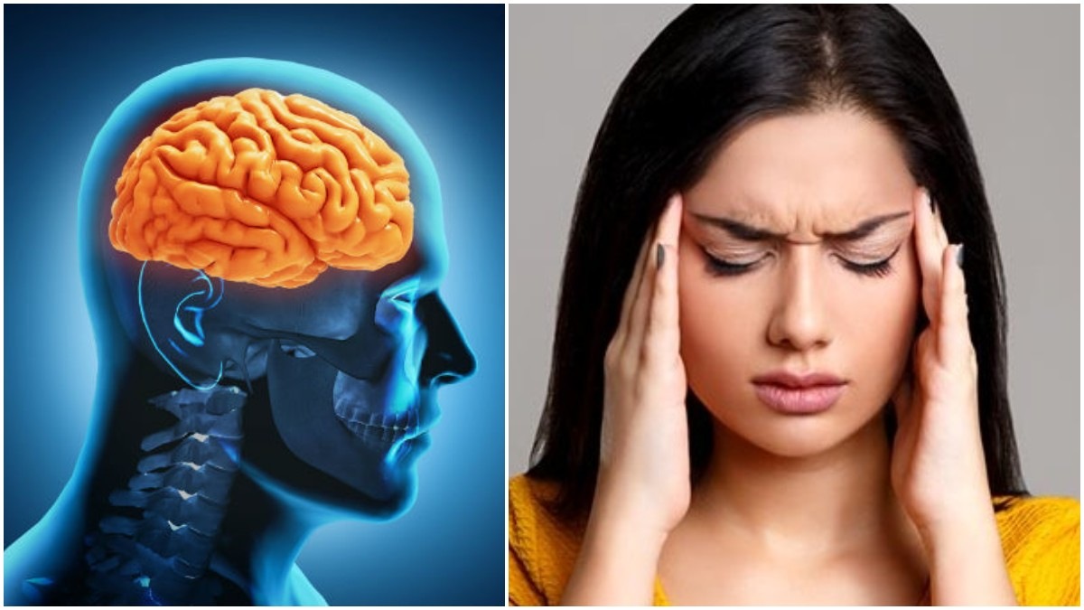 World Brain Day 2023: ಮೆದುಳಿನ ಉತ್ತಮ ಆರೋಗ್ಯಕ್ಕೆ ಈ ಸಲಹೆಗಳನ್ನು ಪಾಲಿಸಿ | World Brain Day 2023: Tips ...