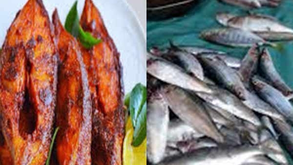 Bangda Fish Health Benefits: ಅಹ್ಹಾ.. ರುಚಿಗೆ ಮಾತ್ರ ಅಲ್ಲ ರೀ ಈ ಬಂಗುಡೆ ಮೀನು ...