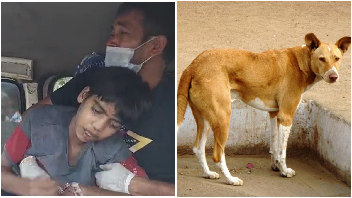 Rabies : ನಾಯಿ ಕಚ್ಚಿದ್ದನ್ನು ಪೋಷಕರಿಂದ ಮುಚ್ಚಿಟ್ಟ ಬಾಲಕ: ರೇಬಿಸ್‌ನಿಂದ ಪೋಷಕರ ...