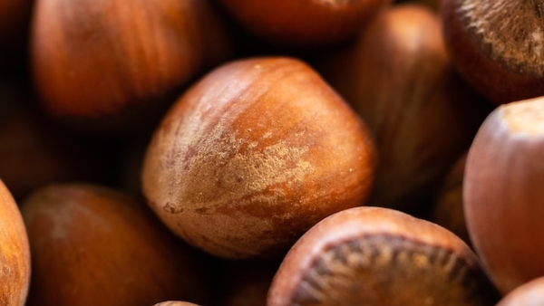 Hazelnut Health Benefits: ಅಬ್ಬಾಬ್ಬ ಹ್ಯಾಝೆಲ್ನಟ್ ಆರೋಗ್ಯ ಪ್ರಯೋಜನ ...