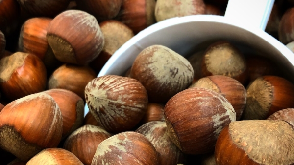 Hazelnut Health Benefits: ಅಬ್ಬಾಬ್ಬ ಹ್ಯಾಝೆಲ್ನಟ್ ಆರೋಗ್ಯ ಪ್ರಯೋಜನ ...