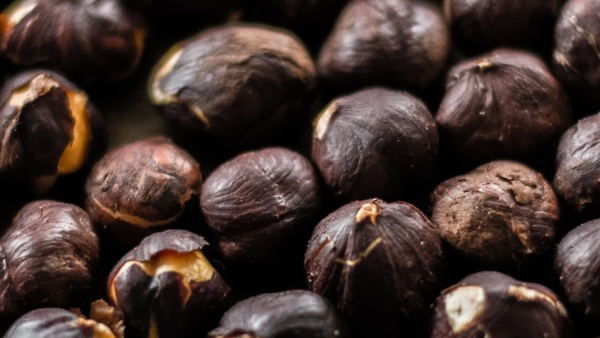 Hazelnut Health Benefits: ಅಬ್ಬಾಬ್ಬ ಹ್ಯಾಝೆಲ್ನಟ್ ಆರೋಗ್ಯ ಪ್ರಯೋಜನ ...