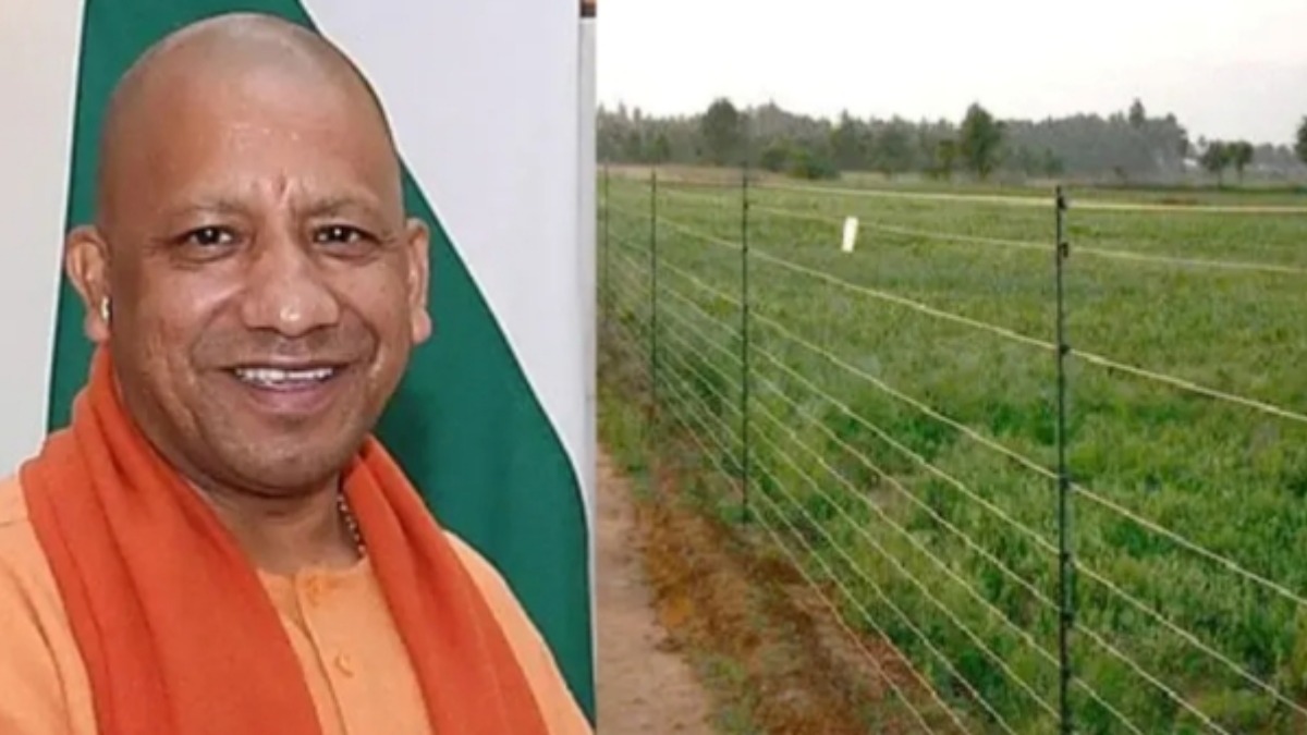 ಯುಪಿ: ಕಾಡು ಪ್ರಾಣಿಗಳ ಕಾಟ.. ಬೆಳೆ ರಕ್ಷಣೆಗೆ ಯೋಗಿ ಆದಿತ್ಯನಾಥ್ ಸರ್ಕಾರದ ಹೊಸ ...