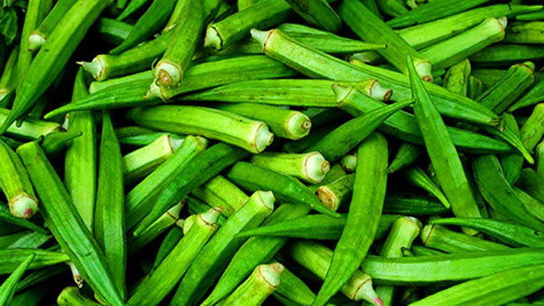 Health Benefits of Lady finger: ಬೆಂಡೆಕಾಯಿಯನ್ನು ಬೇಡ ಅನ್ಬೇಡಿ ಯಾಕೆಂದರೆ ...