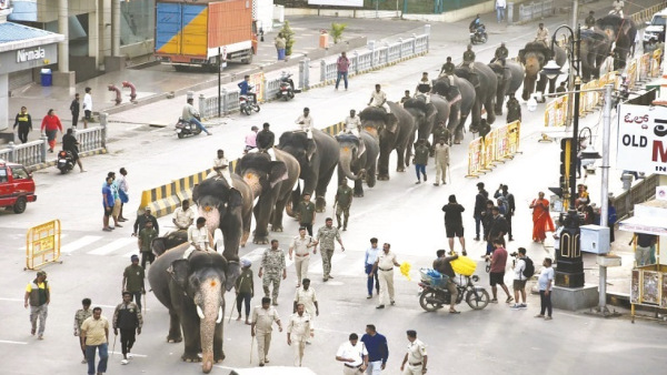 ಭವಿಷ್ಯದ ಅಂಬಾರಿ ಆನೆ ಆಗ್ತಾನಾ ಕಂಜನ್?, ಯಾಕೆ ಈ ಪ್ರಶ್ನೆ ಅಂತೀರಾ ಇಲ್ಲಿವೆ ...