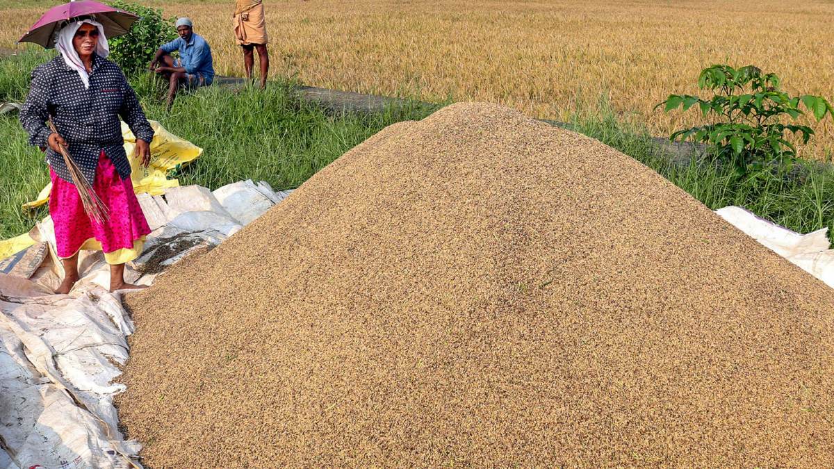 ಭತ್ತ ಖರೀದಿ; ಬೆಂಬಲ ಬೆಲೆ ನಿಗದಿ ಮಾಡಿದ ಕರ್ನಾಟಕ ಸರ್ಕಾರ | Karnataka Govt ...
