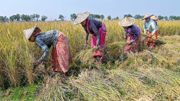 ಭತ್ತ ಖರೀದಿ; ಬೆಂಬಲ ಬೆಲೆ ನಿಗದಿ ಮಾಡಿದ ಕರ್ನಾಟಕ ಸರ್ಕಾರ | Karnataka Govt ...
