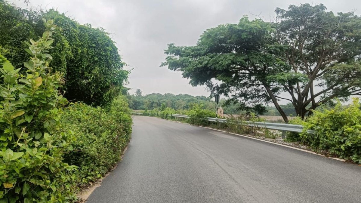 Chikkaballapur: ರಸ್ತೆಗೆ ಚಾಚಿದ ಗಿಡಗಳಿಂದಾಗಿ ಸಂಚಾರಕ್ಕೆ ಅಡ್ಡಿ: ಅಪಘಾತಗಳ ...