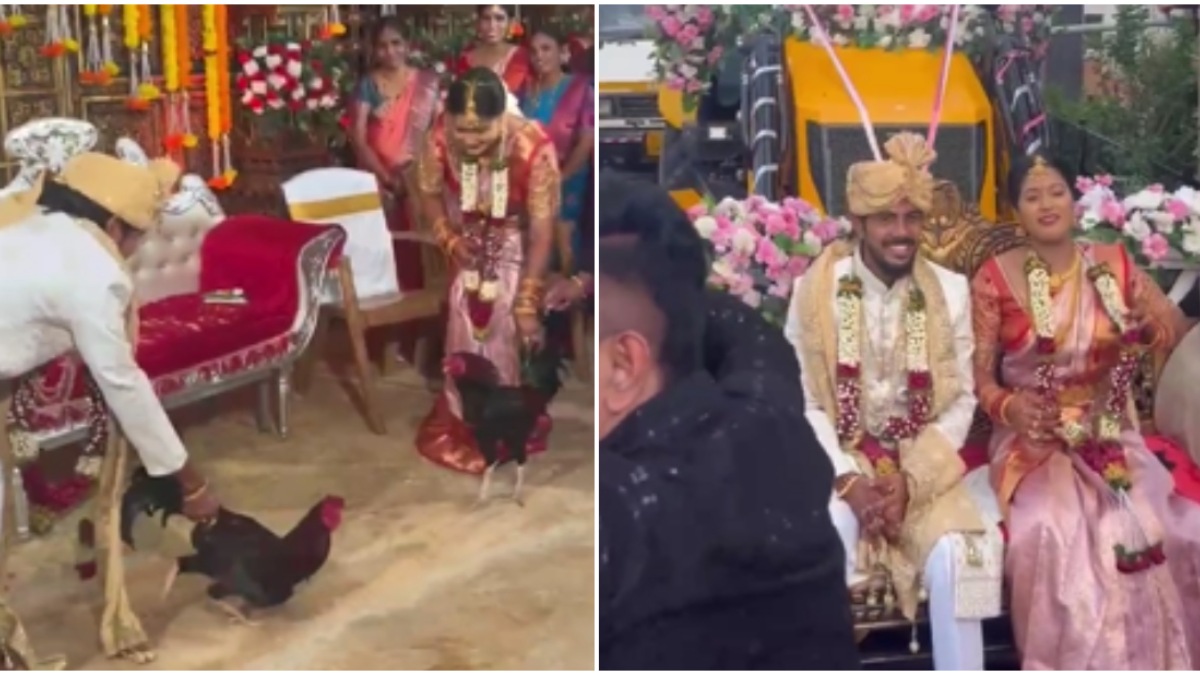 ಜೆಸಿಬಿಯಲ್ಲಿ ಮೆರವಣಿಗೆ, ಮಂಟಪದಲ್ಲೇ ಕೋಳಿ ಅಂಕ : ಉಡುಪಿಯಲ್ಲೊಂದು ವಿಭಿನ್ನ ಮದುವೆ ...