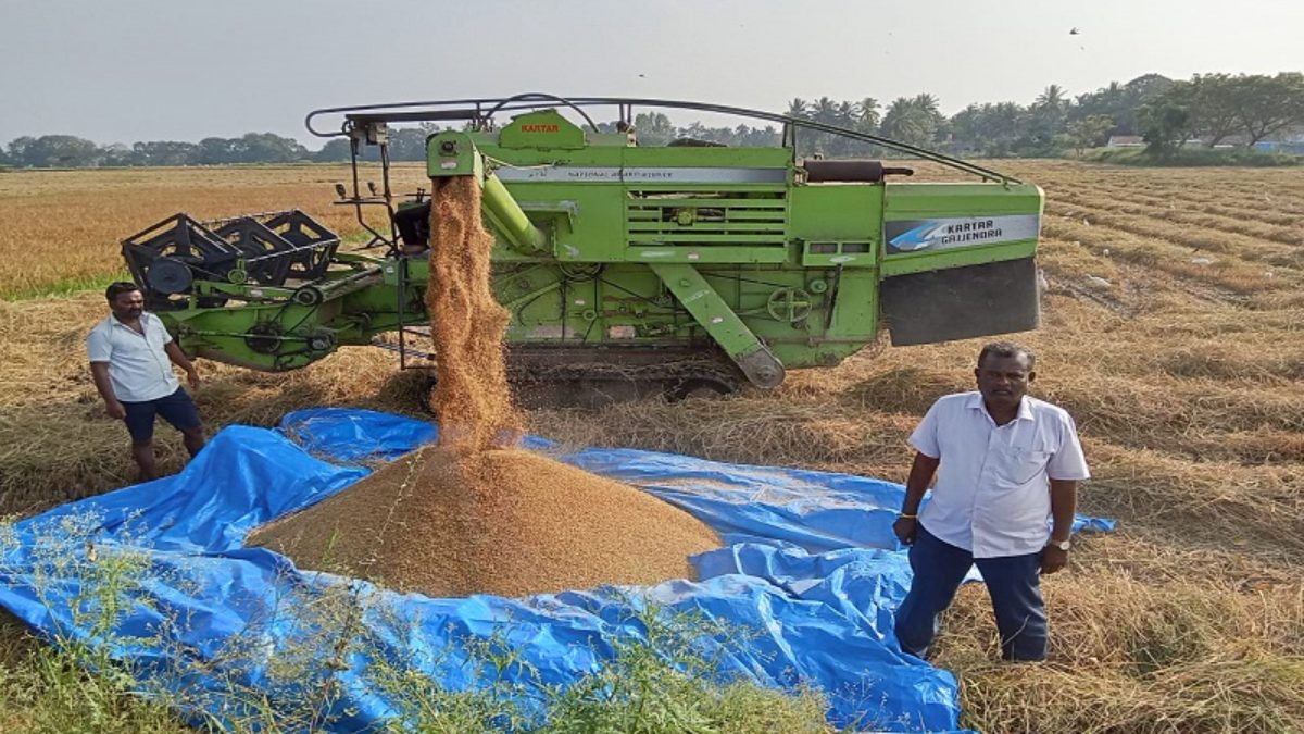 ಭಾರೀ ಬರಗಾಲದ ಮಧ್ಯೆ ಮೈಸೂರಿನ ಭತ್ತದ ಕಣಜದ ರೈತರ ಕೈಹಿಡಿದ ಧಾನ್ಯಲಕ್ಷ್ಮೀ | Amid ...