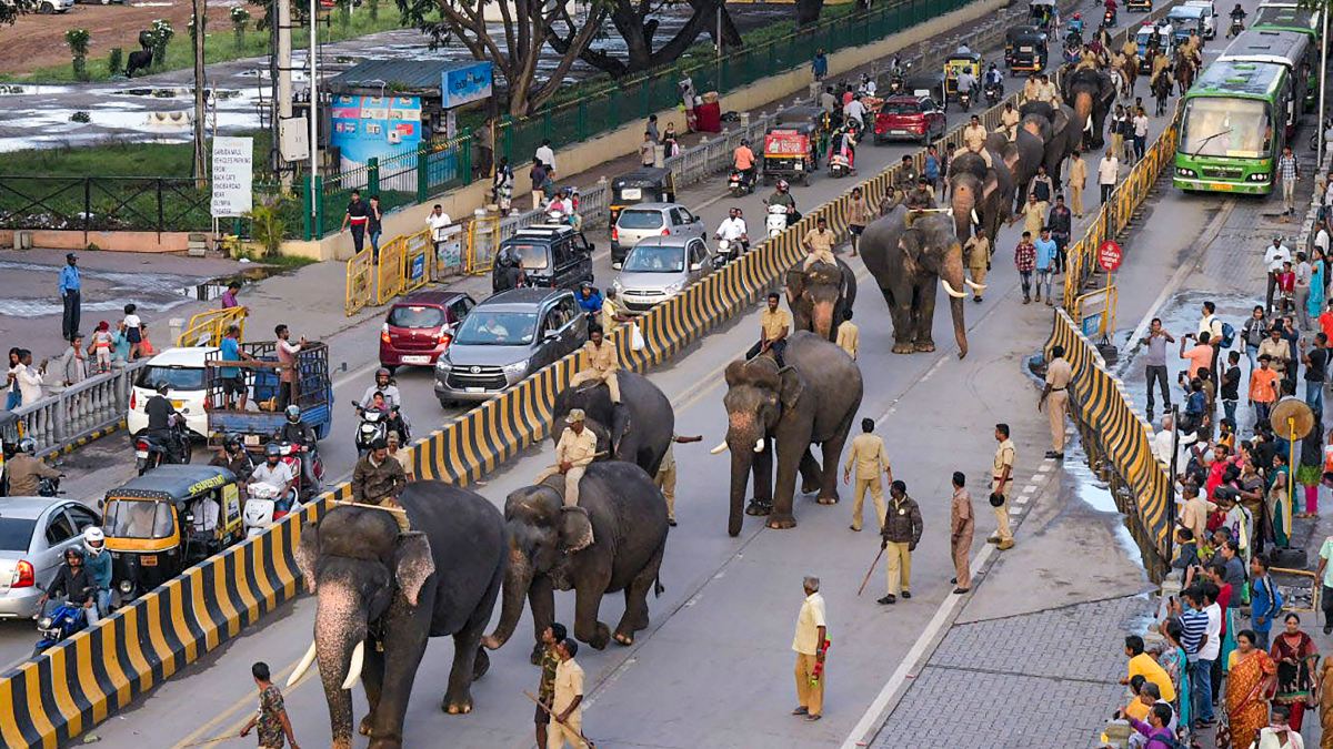 Elephant Arjuna Death: ದಸರಾ ಆನೆ ಸಾವಿನ ಸುದ್ದಿ ಕೇಳಿ ಸಾಮಾಜಿಕ ಜಾಲತಾಣದಲ್ಲಿ ...