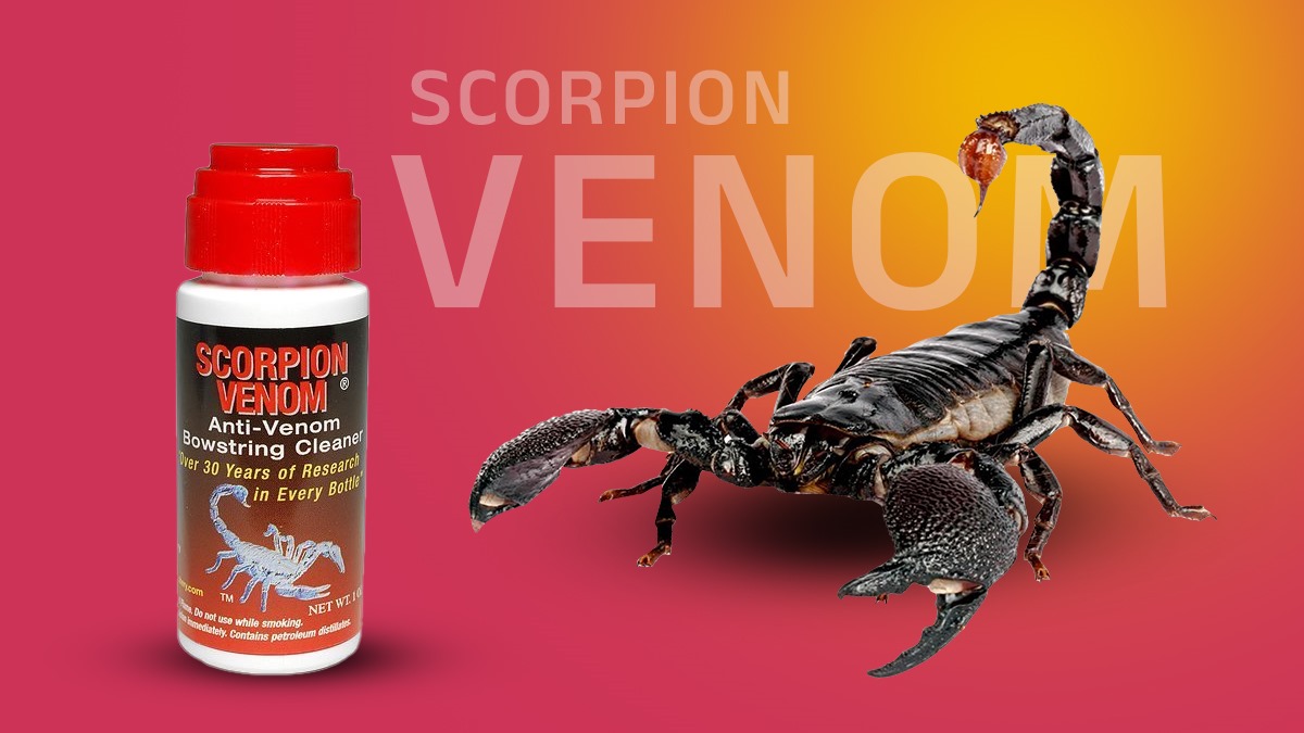 Scorpion Venom: ಚಿನ್ನಕ್ಕಿಂತ ಹೆಚ್ಚಾಯಿತು ಚೇಳಿನ ಬೆಲೆ: ಕೋಟಿ ಕೋಟಿ ಬೆಲೆ ...