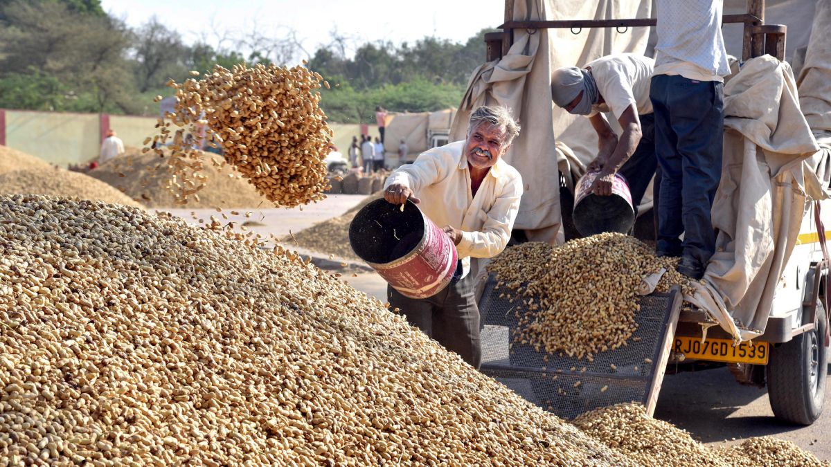 ಶೇಂಗಾ ಬೆಳೆ; ಸುಧಾರಿತ ತಂತ್ರಜ್ಞಾನಗಳ ಮಾಹಿತಿ | Ground Nut Farming New ...