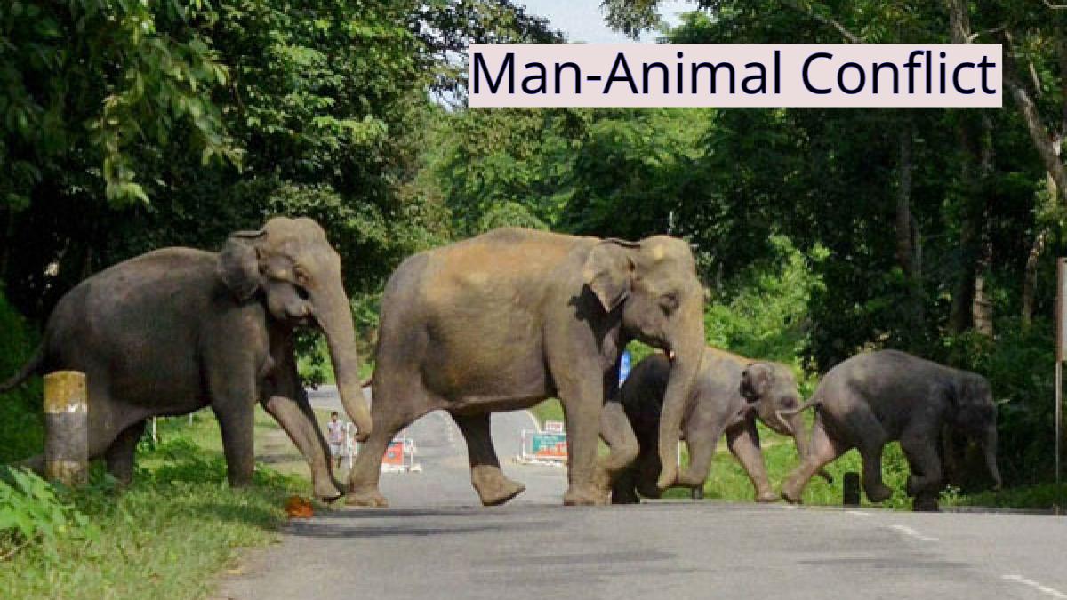 Man-Animal Conflict: ಟಾಸ್ಕ್‌ಫೋರ್ಸ್‌ ಆಧುನಿಕರಣಕ್ಕೆ ರೂ.10 ಕೋಟಿ ಬಿಡುಗಡೆ ...