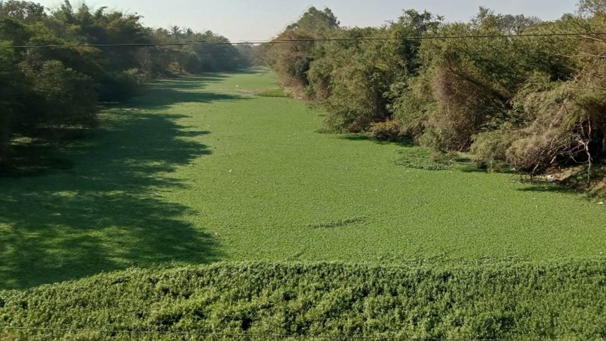 ಕರ್ನಾಟಕದ ಕೌತುಕ ಸ್ಥಳ: ಬೇಸಿಗೆಯಲ್ಲಿ ಹಸಿರಾಗುವ ಈ ನದಿ ಯಾವುದು ಗೊತ್ತಾ..? | Why ...