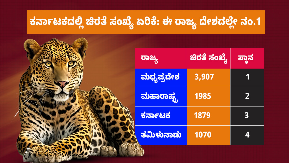 Leopard: ಕರ್ನಾಟಕದಲ್ಲಿ ಚಿರತೆ ಸಂಖ್ಯೆ ಏರಿಕೆ: ಈ ರಾಜ್ಯ ದೇಶದಲ್ಲೇ ನಂ.1 ...