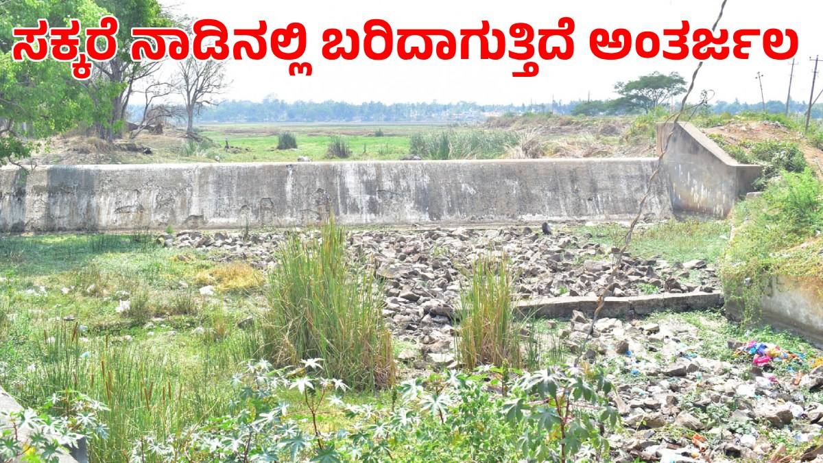 Ground Water: ಮಂಡ್ಯದಲ್ಲಿ ಏಳು ಅಡಿ ಕುಸಿದ ಅಂತರ್ಜಲ; ಆತಂಕದಲ್ಲಿ ರೈತರು ...