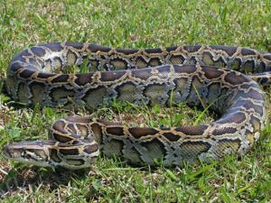 Latest India News: Business & Finance, Sports, Entertainment - Oneindia